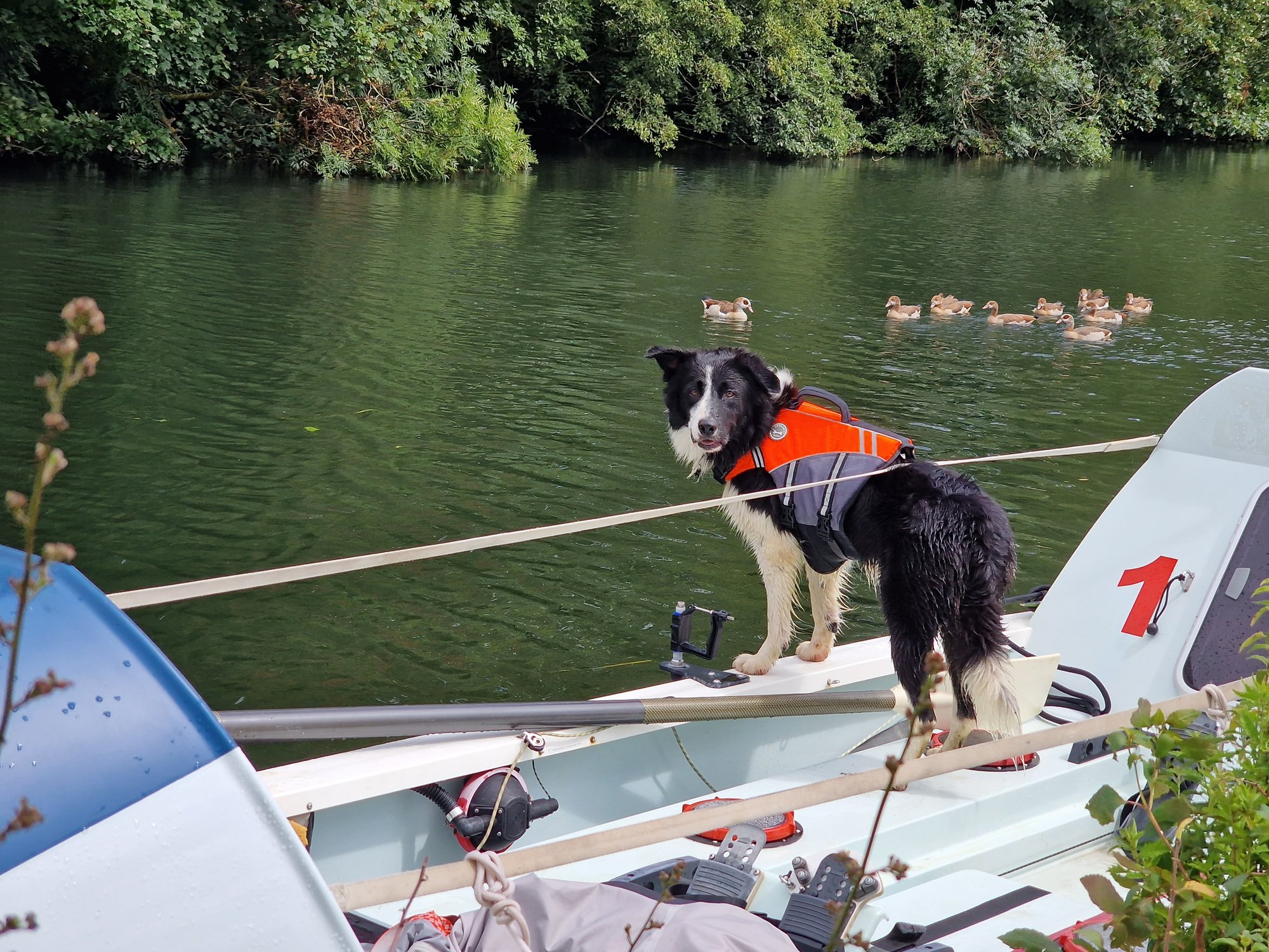 Ensure UK - Nick Hollis and Ensure